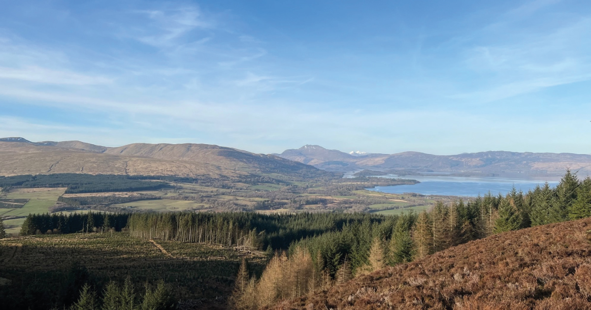 Nature Walk Balloch Castle Country Park - Destination Helensburgh